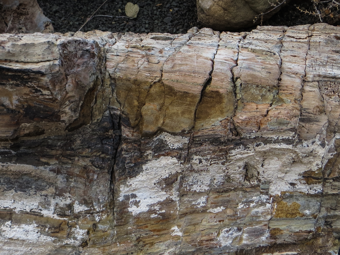 The Fossil Trail in the Karoo National Park - London Traveller