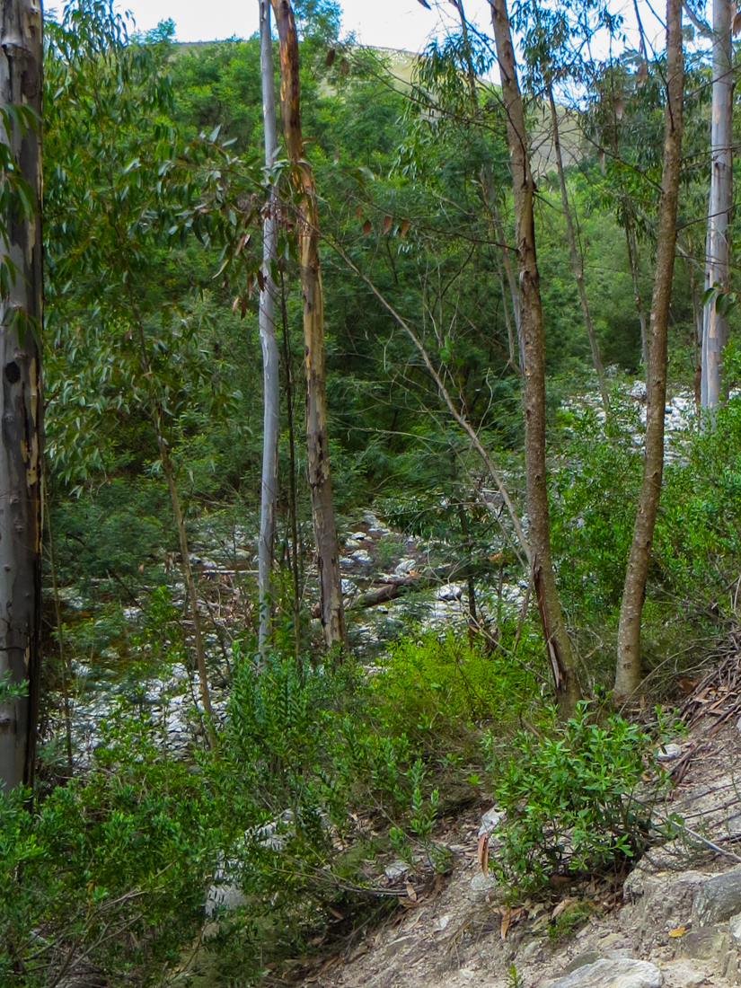 Walking at Suurbraak - London Traveller