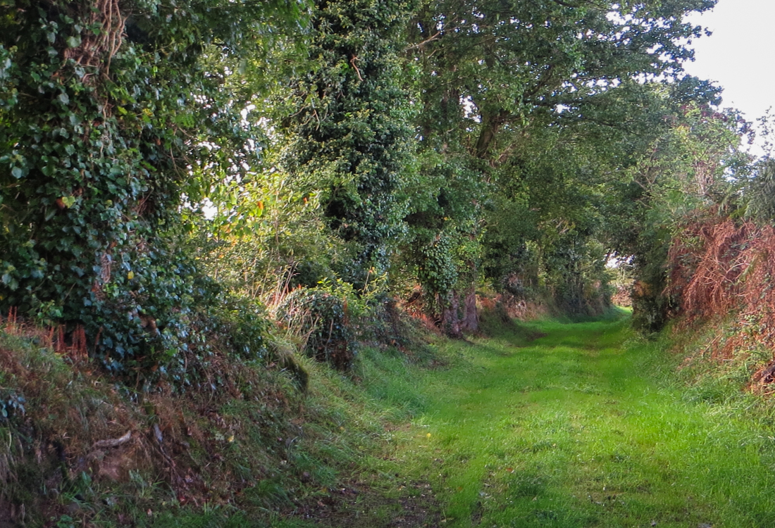 Circular walk around Le Cloitre-Pleyben - London Traveller
