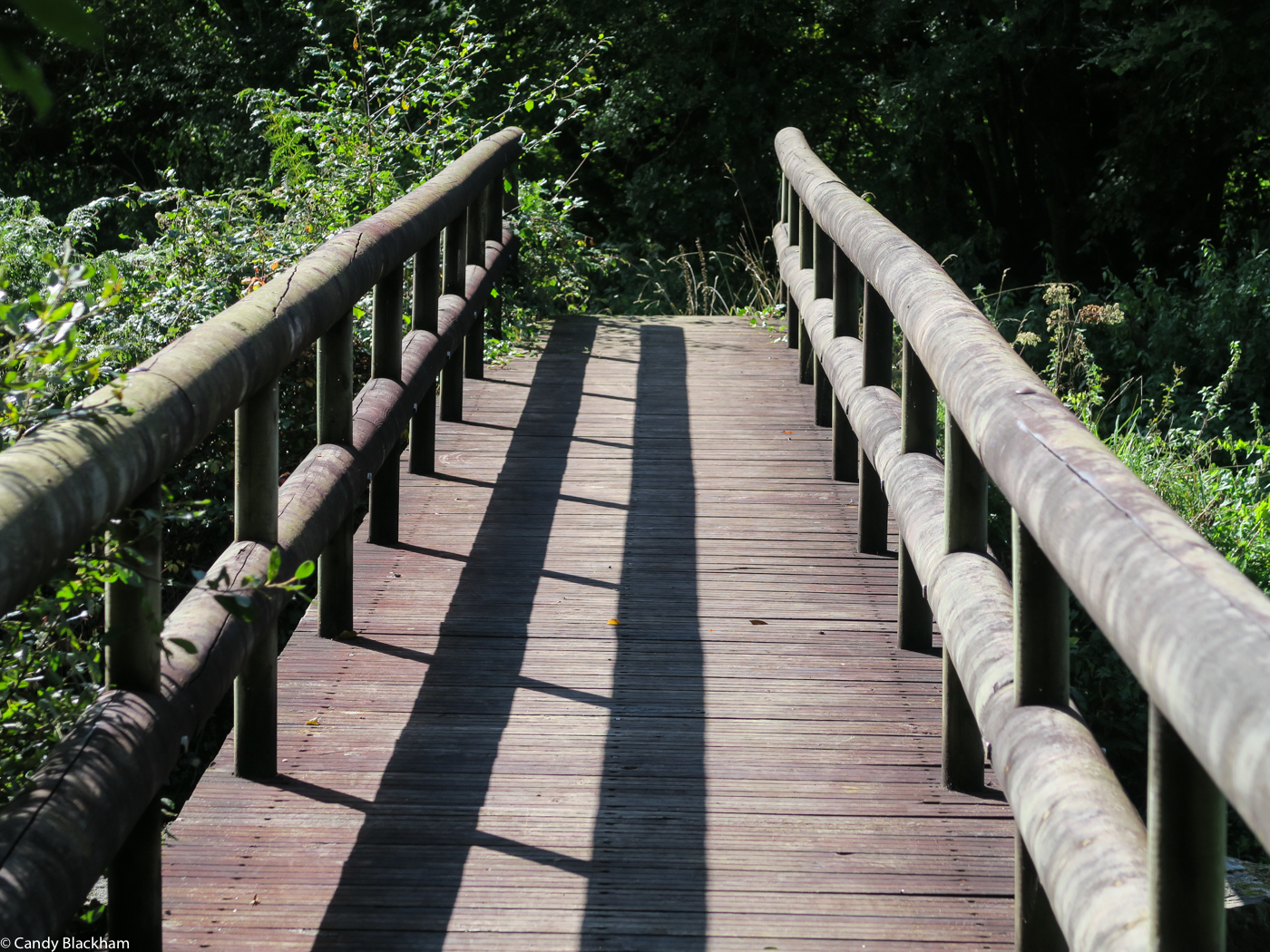 A circular walk around Plouye - London Traveller